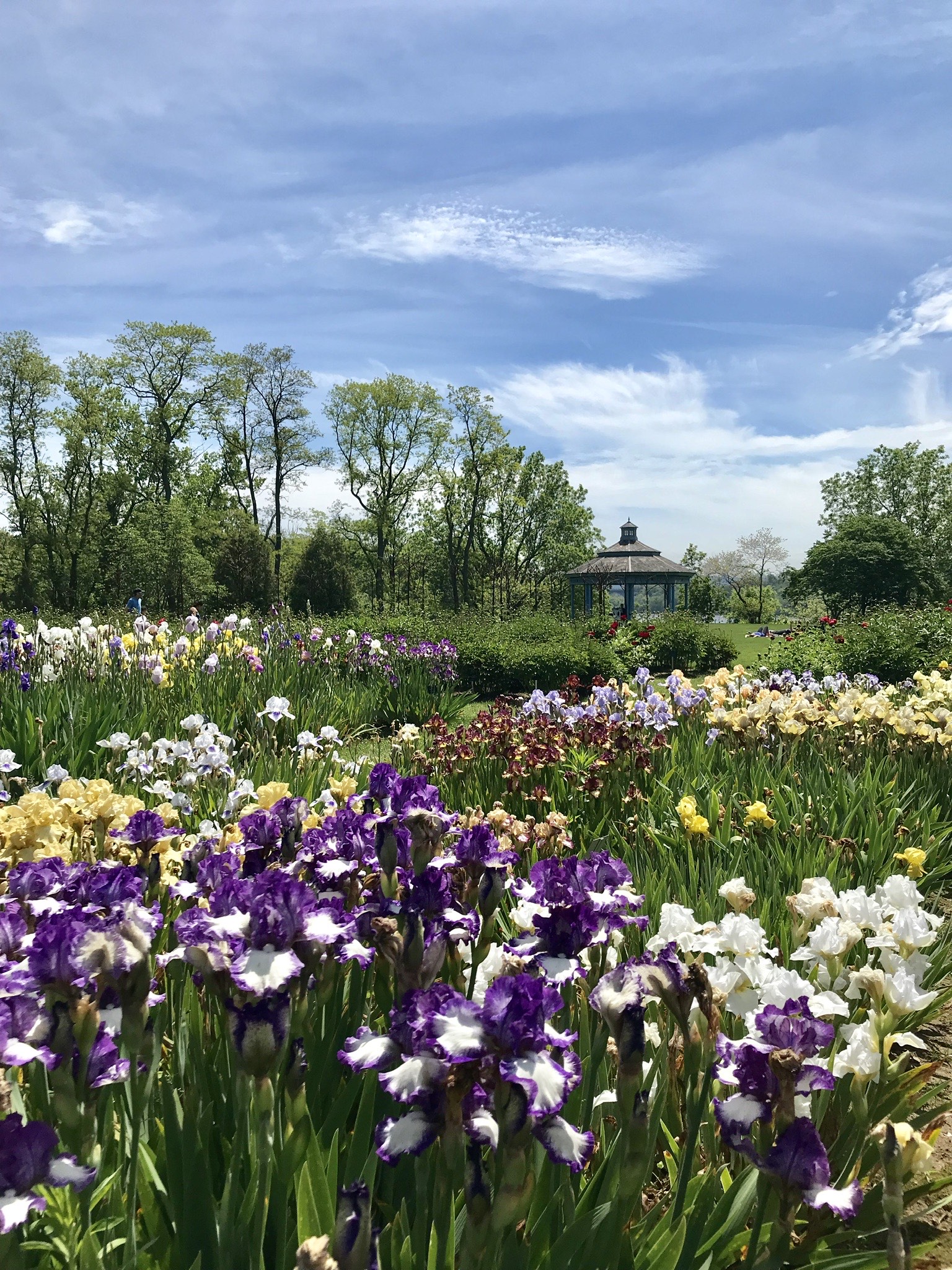 A Guide to the Royal Botanical Gardens, Ontario | Trips to Uncover