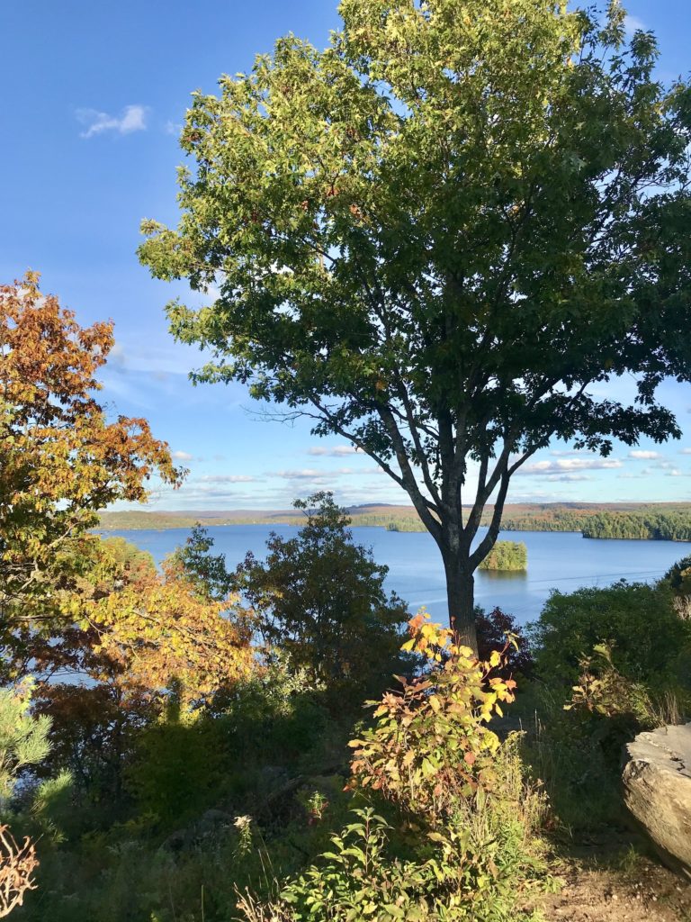 A Guide to Huntsville, Ontario in the Fall - Trips to Uncover